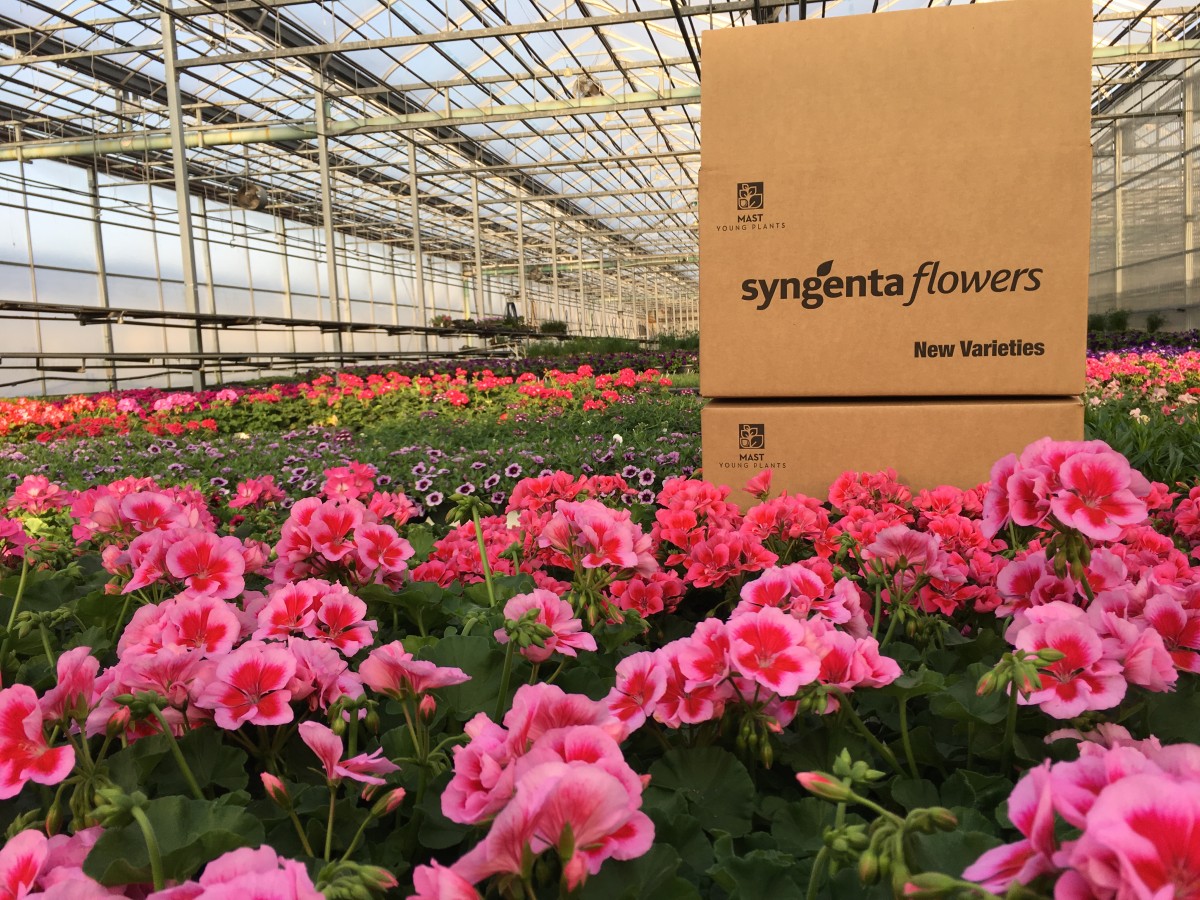 Sample Programs - Mast Young Plants