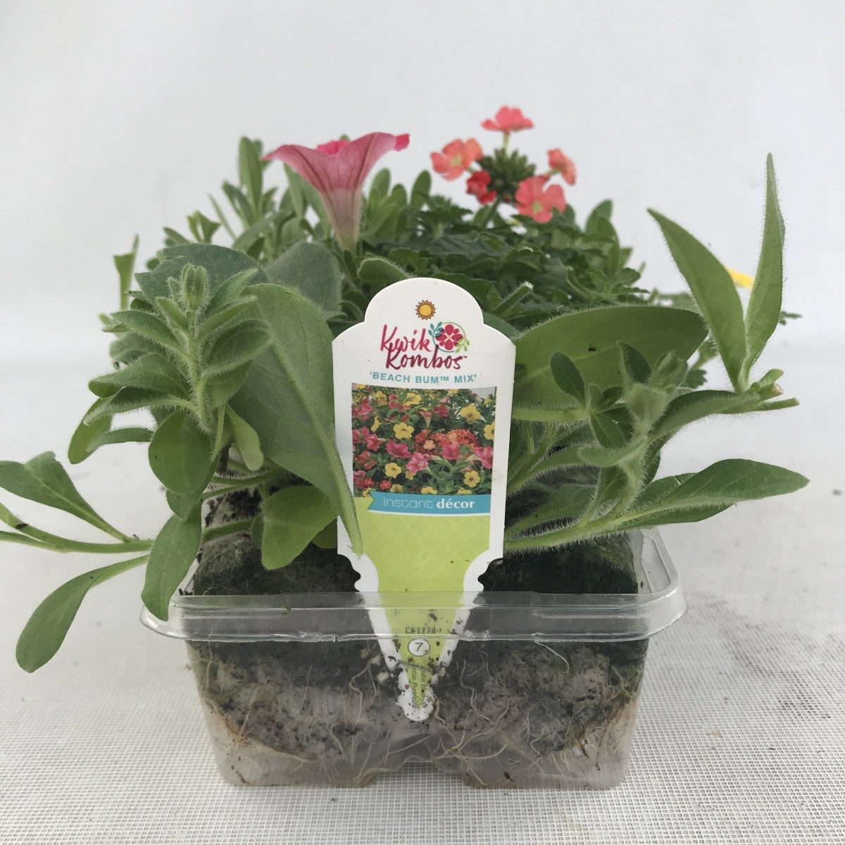 Quick Blocks innovative product line combos combinations 2021