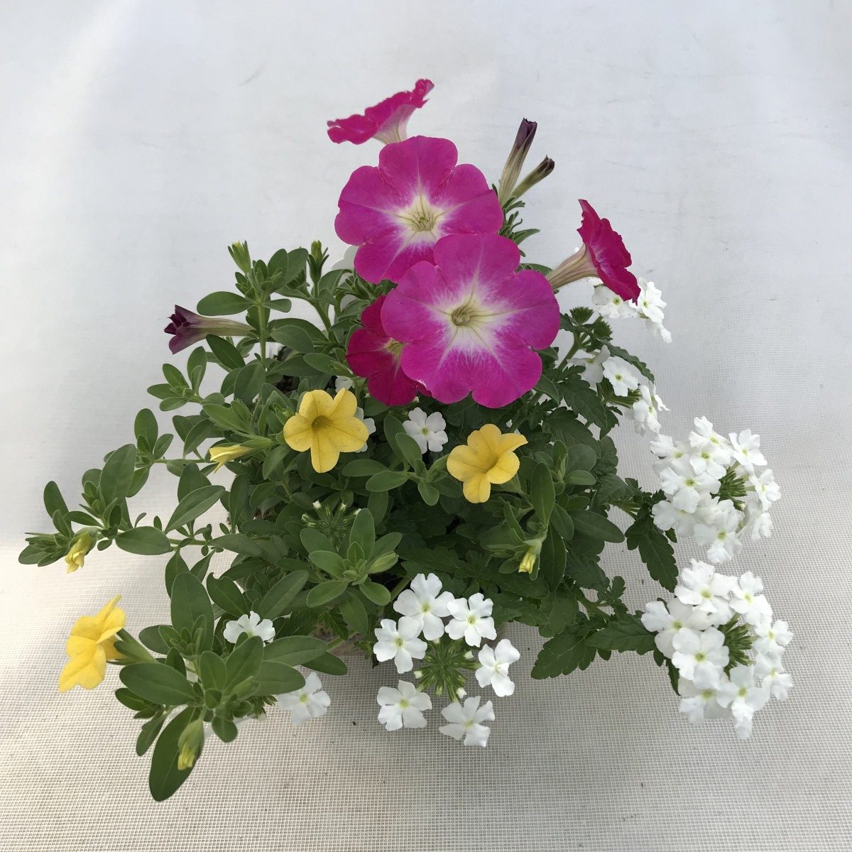 Quick Blocks innovative product line combos combinations 2021