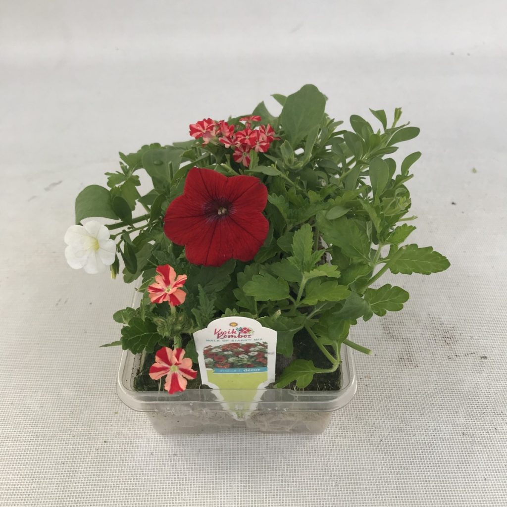 Quick Blocks innovative product line combos combinations 2021