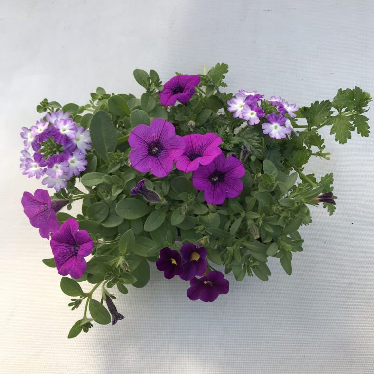 Quick Blocks innovative product line combos combinations 2021