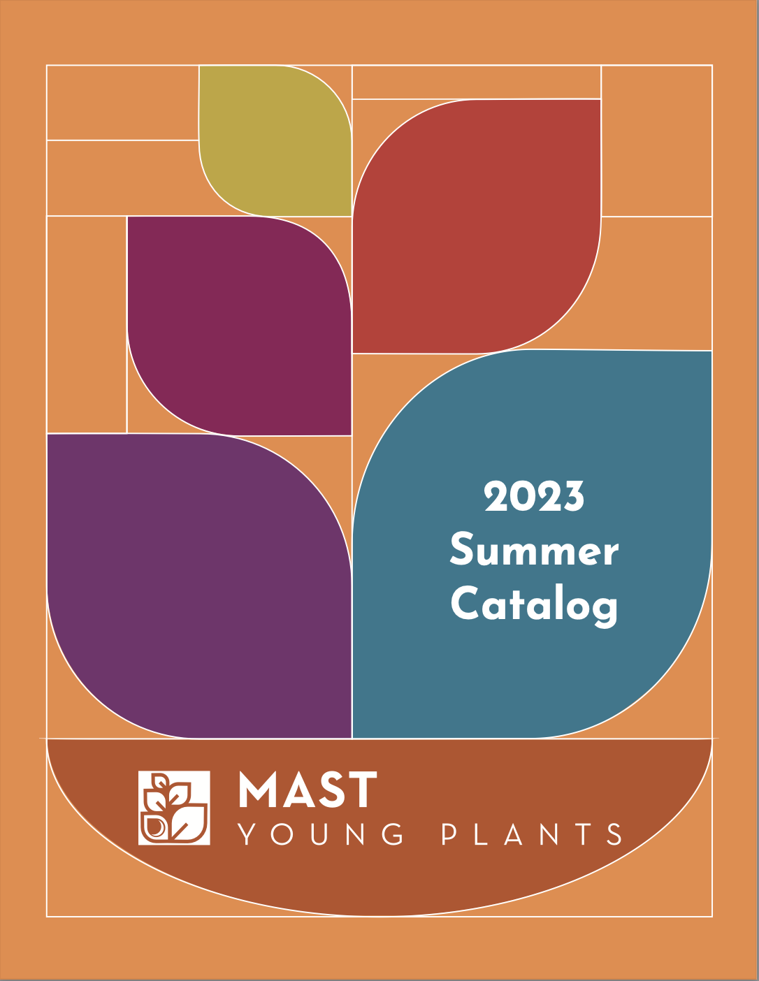 Mast Young Plants Mums Fall Asters Program 2022