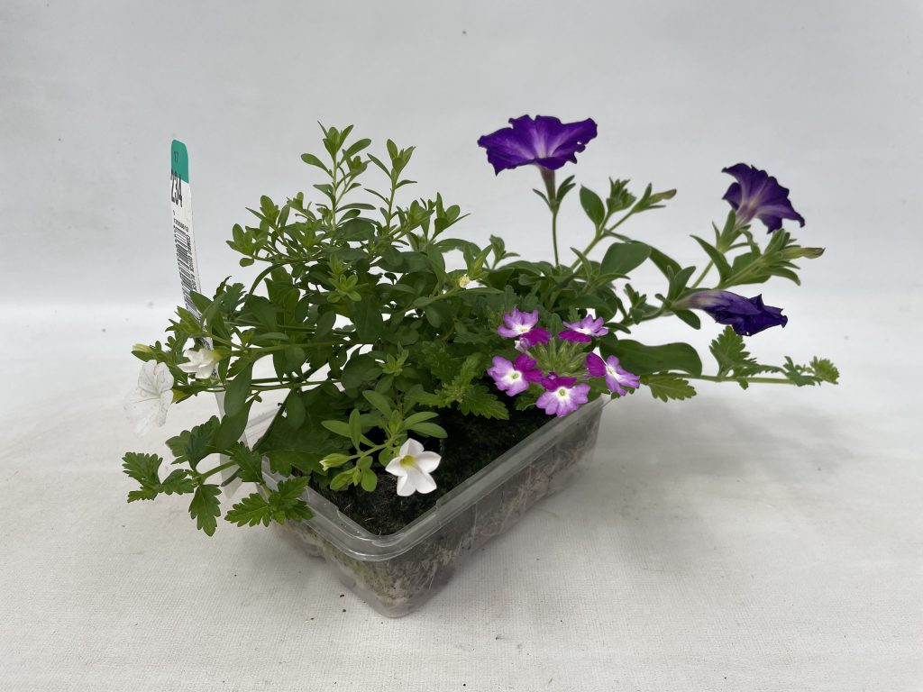 Quick Blocks innovative product line combos combinations 2021